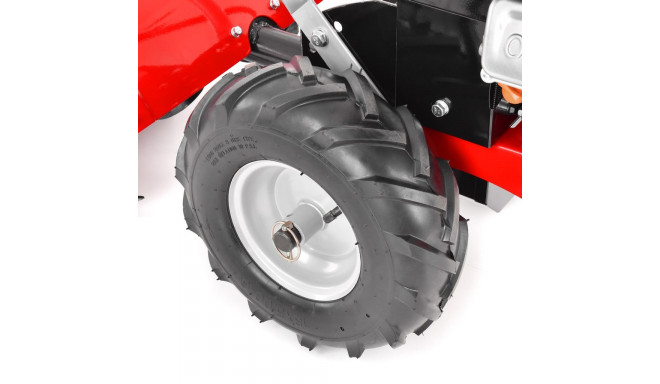 MULLAFREES HECHT 750 - Mullafreesid - Photopoint