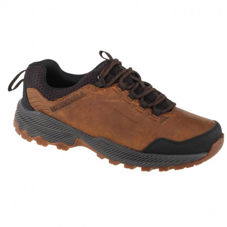 Merrell Forestbound M J99643 shoes (44) - Hiking shoes - Photopoint