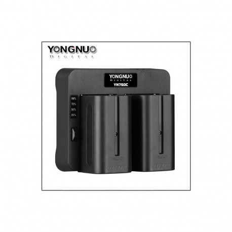 Battery charger Yongnuo YN750C Fast Battery Charger - Spetsiaallaadijad ...