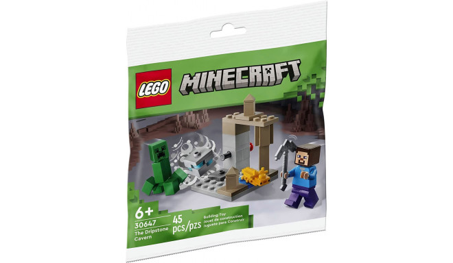 LEGO Minecraft mänguklotsid The Dripstone (30647) - LEGO - Photopoint