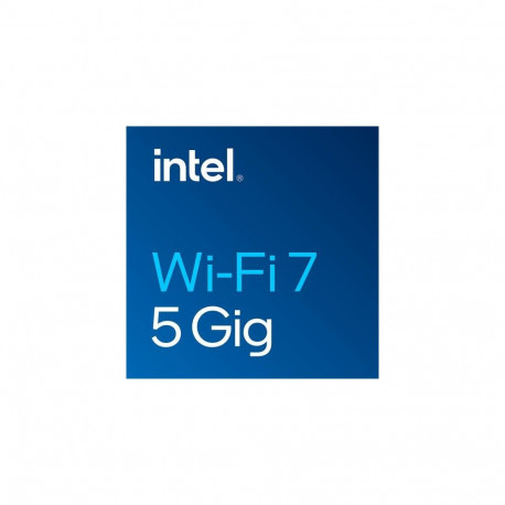 Intel Wi-Fi 7 BE200 Internal WLAN / Bluetooth 5800 Mbit/s ...